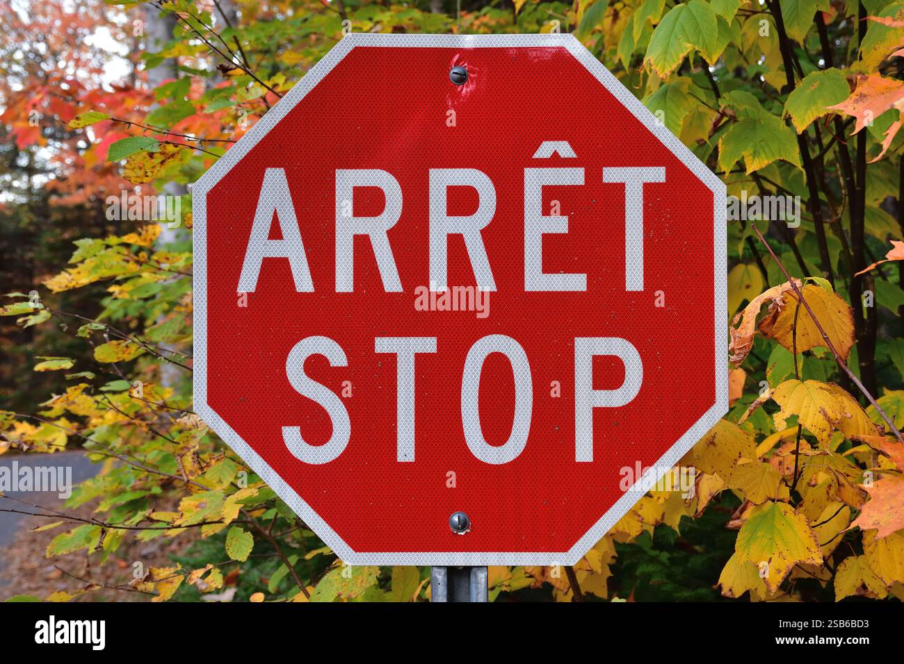 Stop sign bilingual french and english Stock Photo - Alamy
