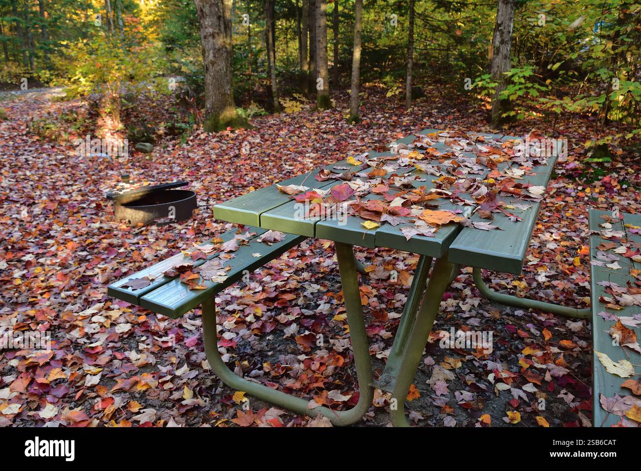Fall is the end of camping season. Picnic table covered with tree ...