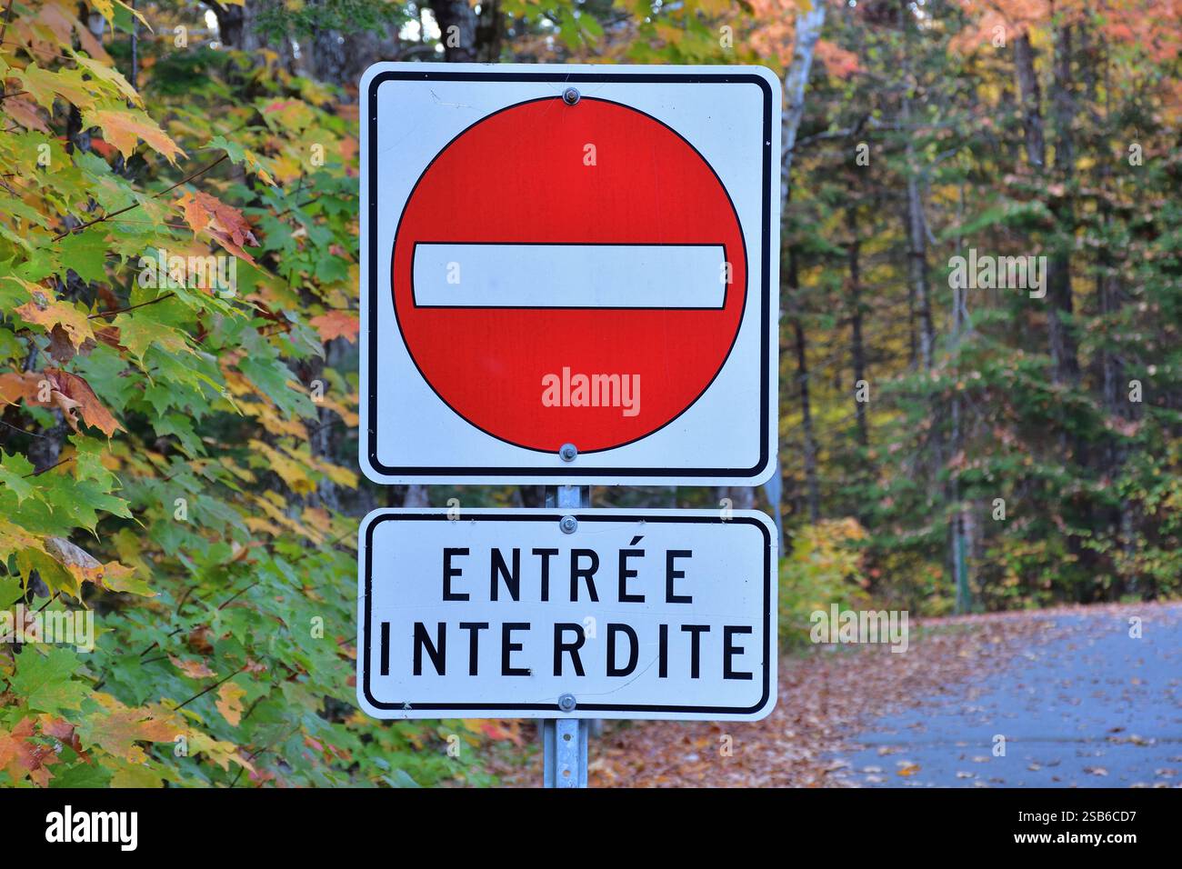 Do not enter road sign. Prohibited entry. Wrong way Stock Photo - Alamy