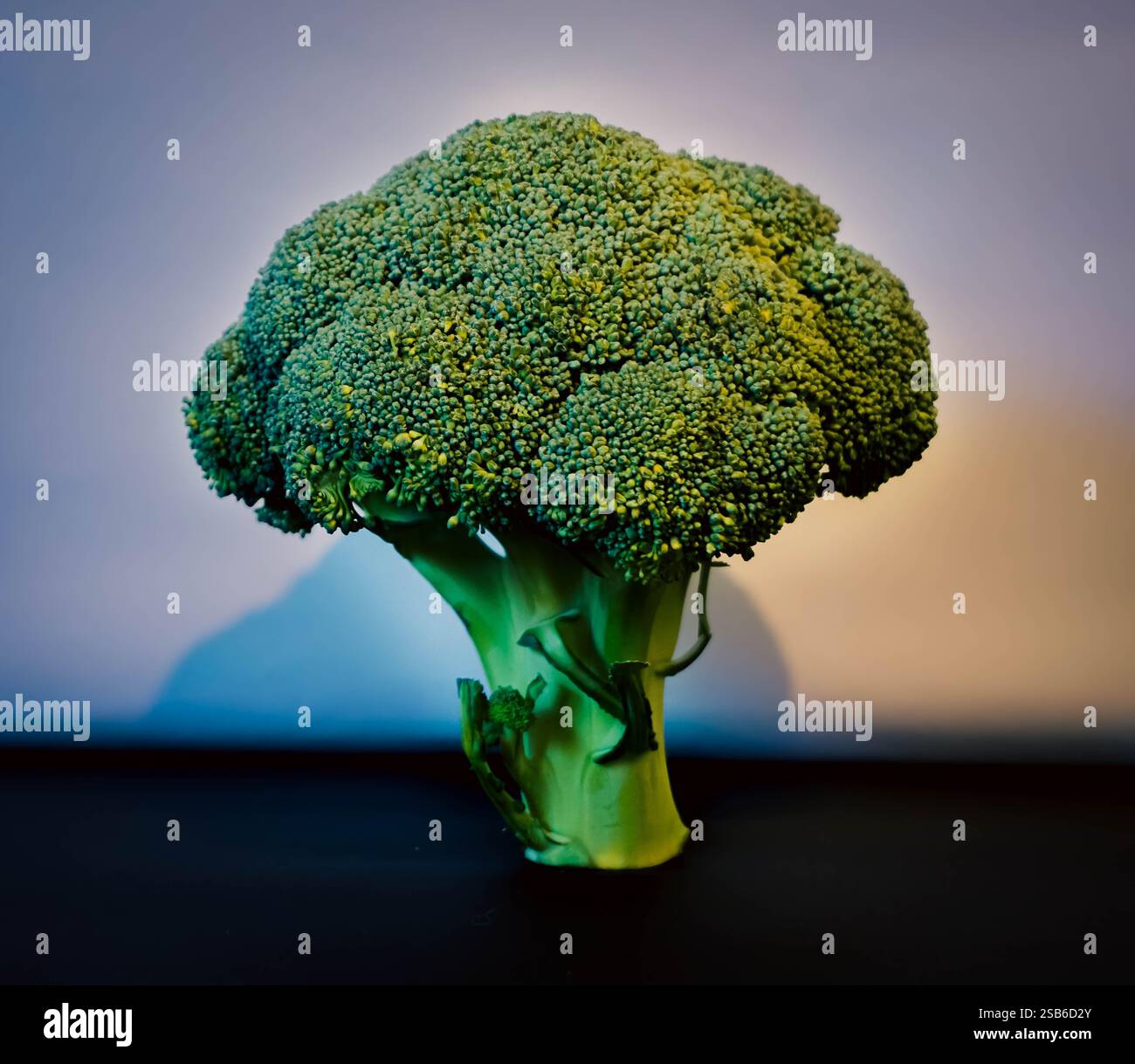 A fresh piece of Broccoli Stock Photo - Alamy