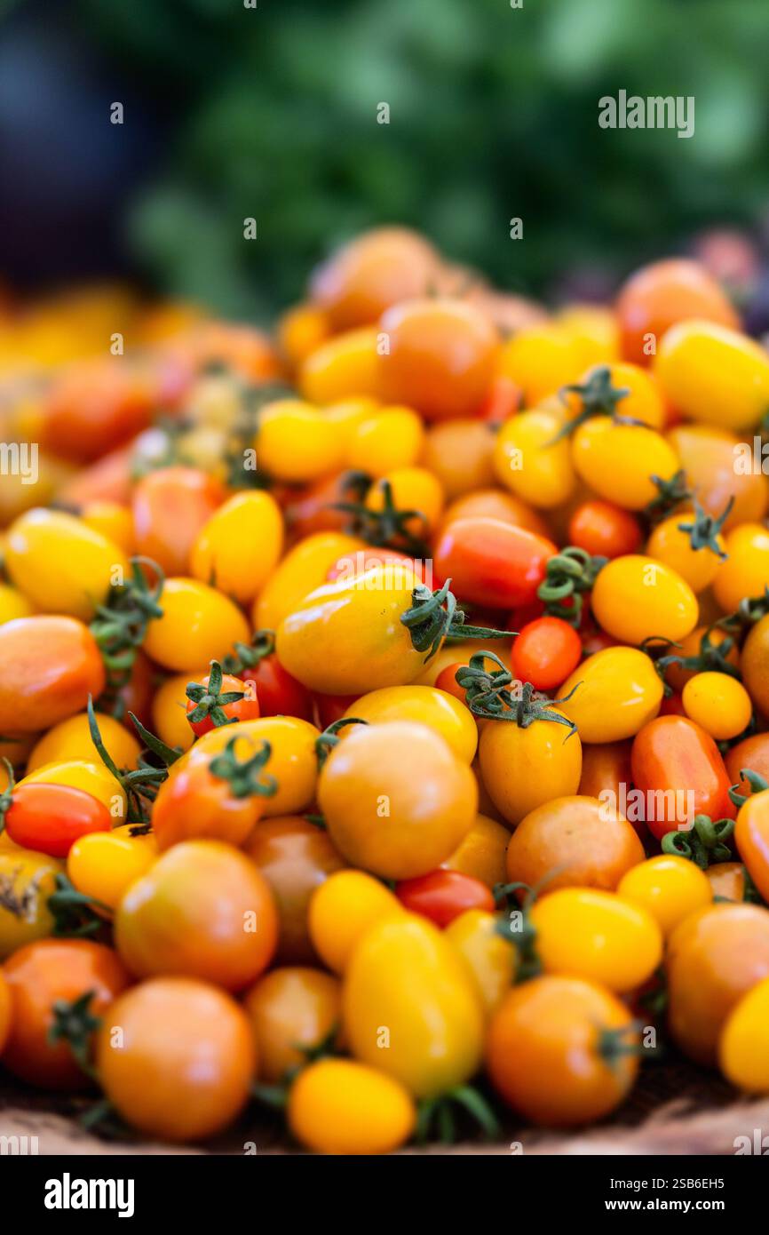 Pile of yellow and red cherry tomatoes on display at a farmers market ...
