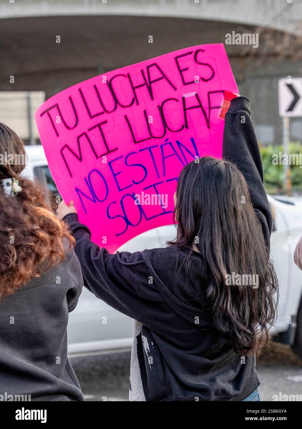 Santa Barbara, USA. 31st Jan, 2025. CA: Santa Barbara Protesters gather ...