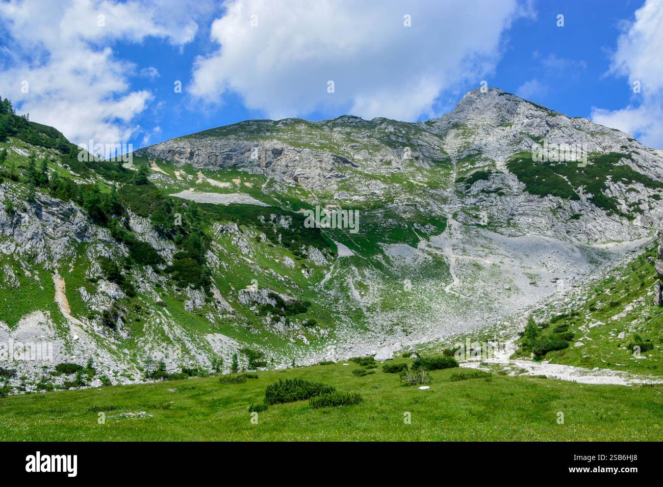 Beautiful mountain route through the forest in the alps - Slovenia ...