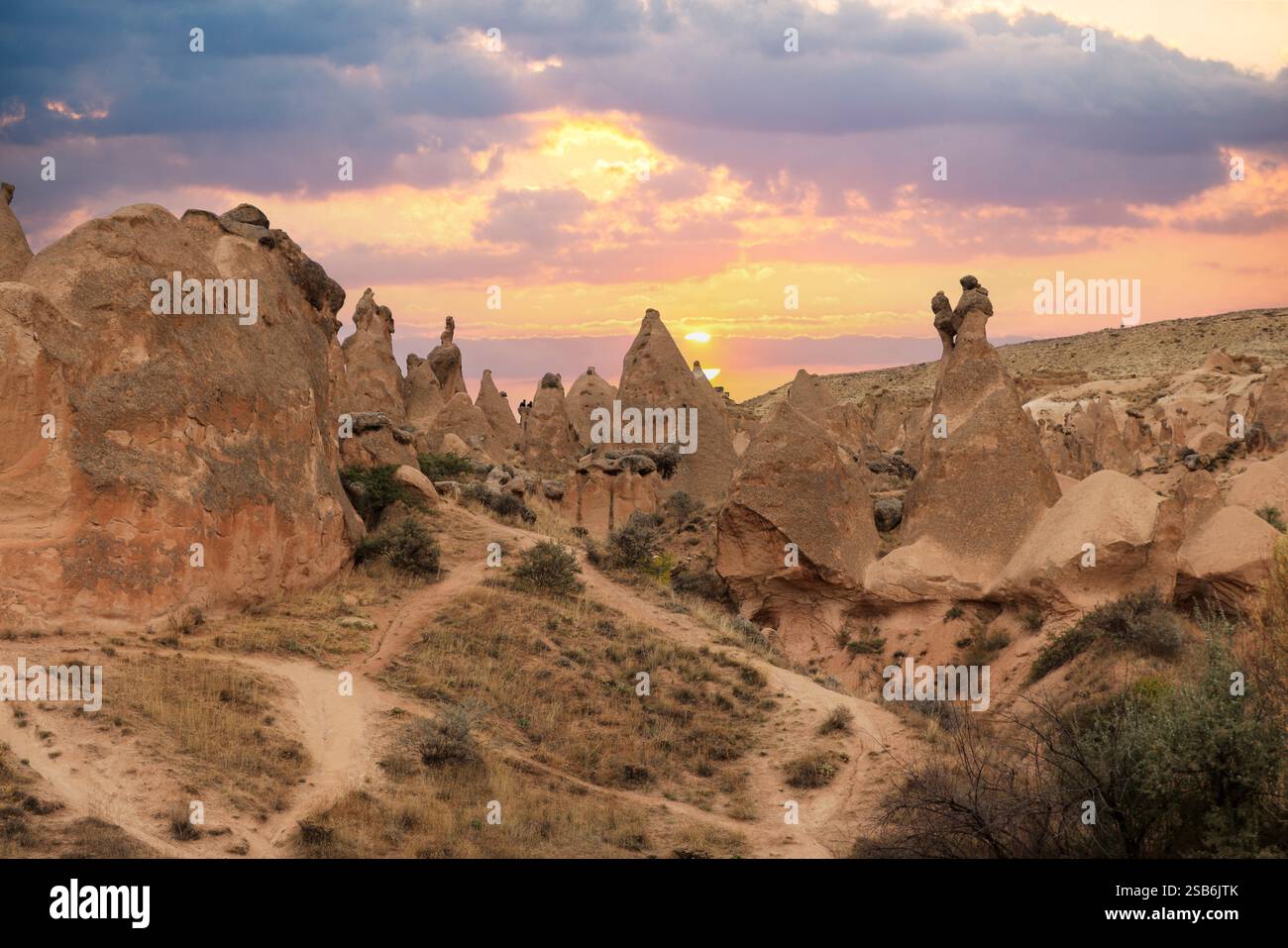 Rock Formation in the Devrent Valley in Cappadocia, Camel Valley ...