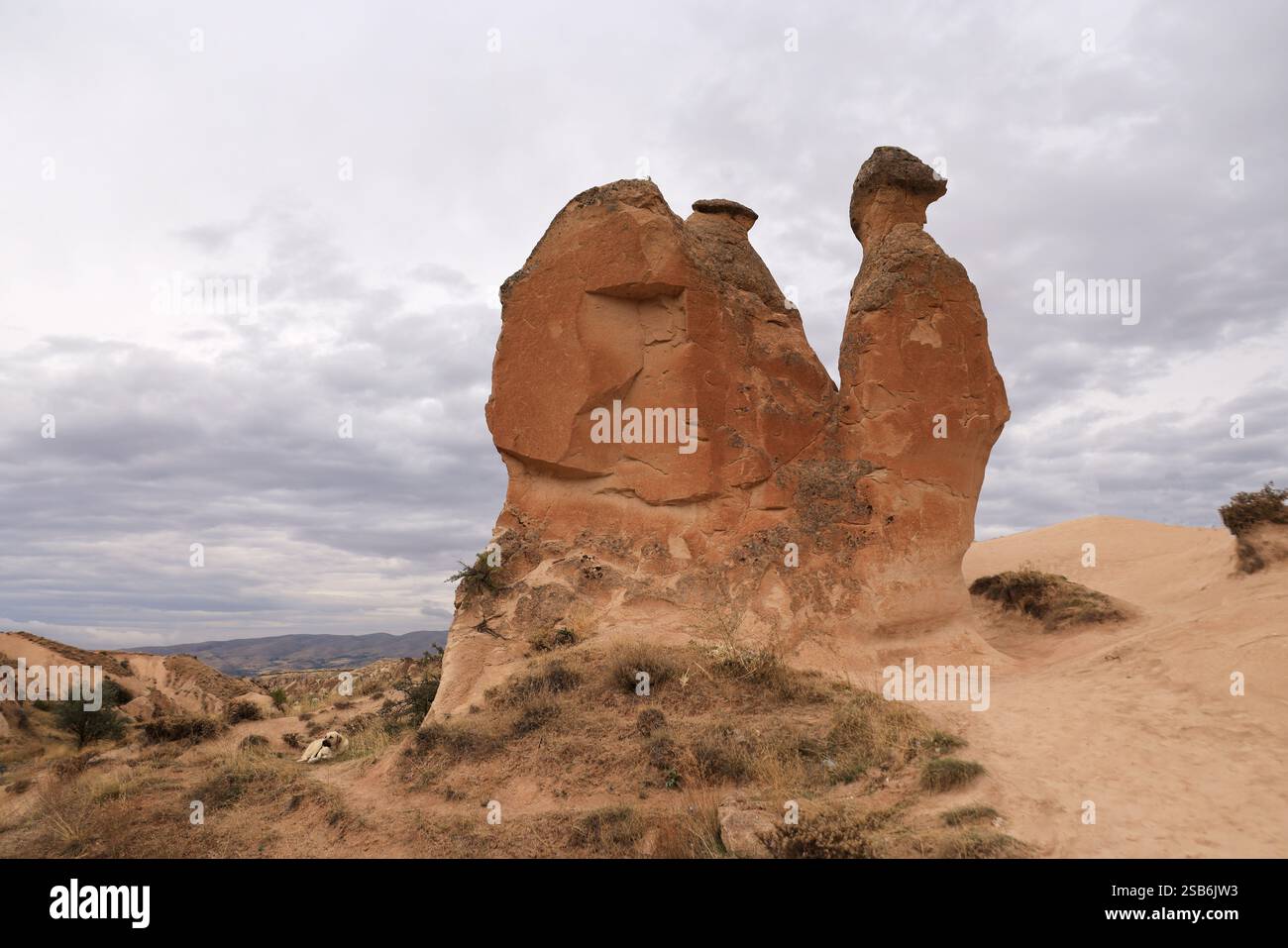 Rock Formation in the Devrent Valley in Cappadocia, Camel Valley ...