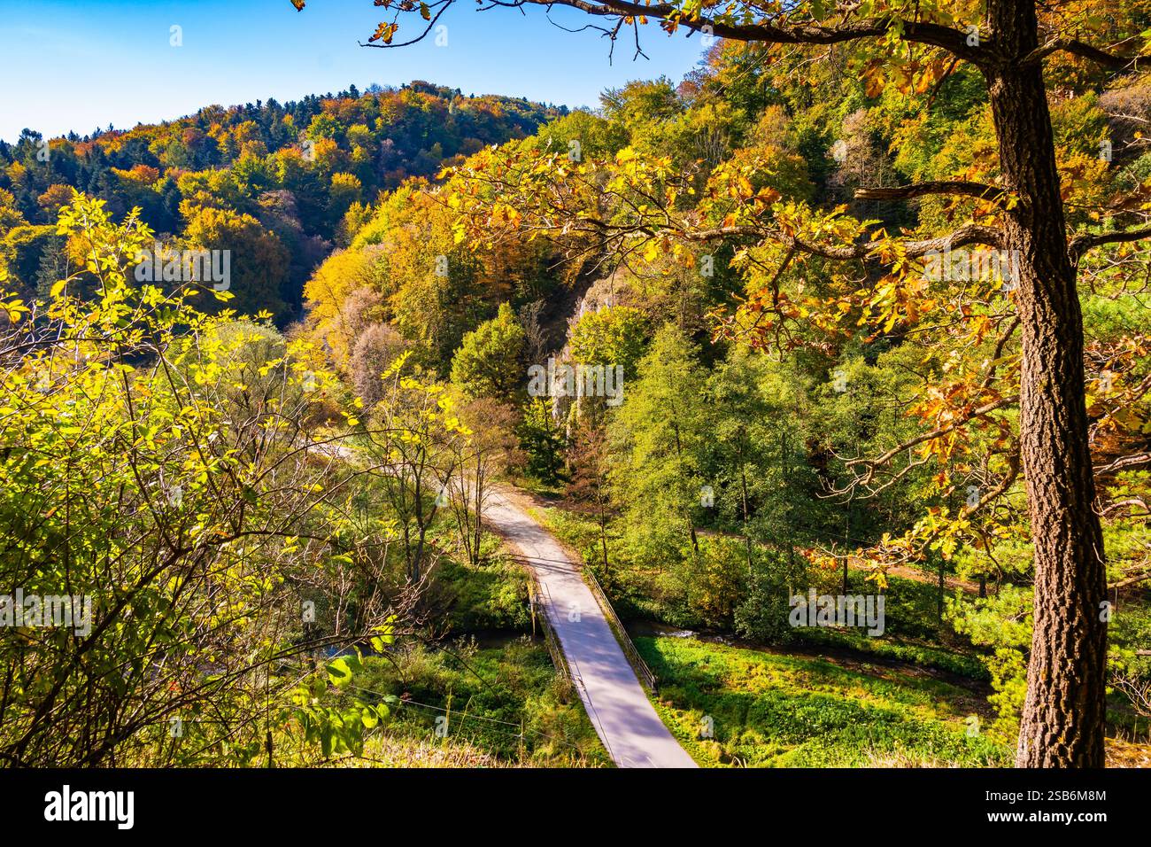 Road in valley with autumn fall colors of trees in Ojcow National Park ...