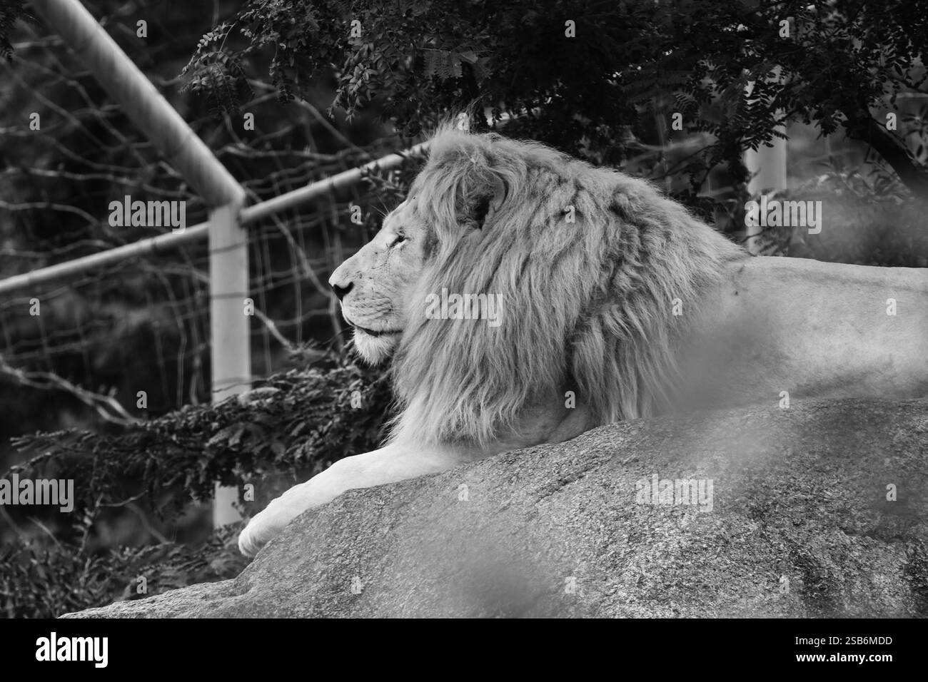 Animals at Toronto Zoo Stock Photo - Alamy