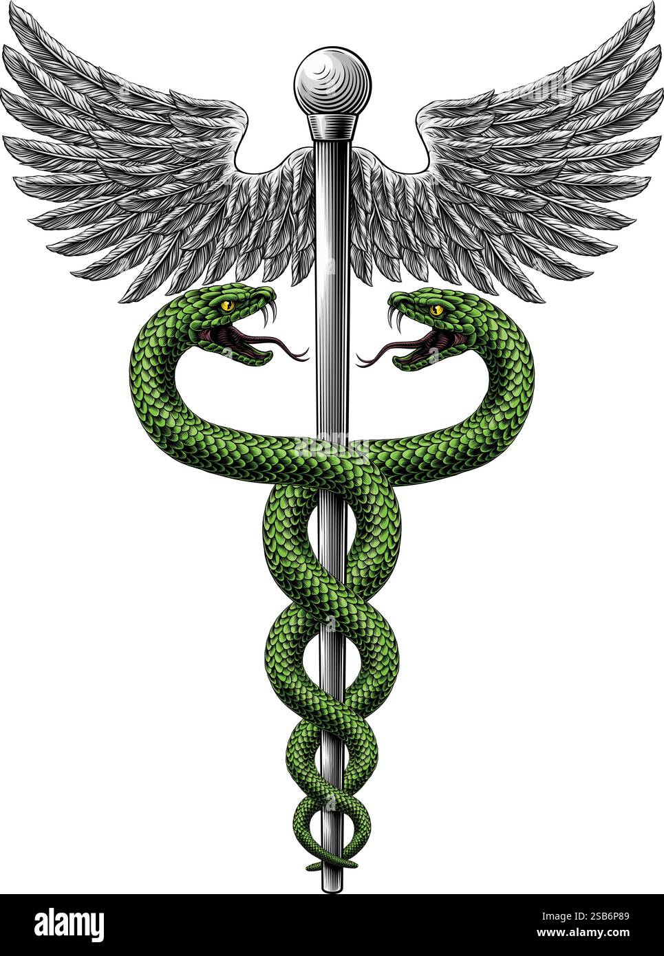 Caduceus Medical Asclepius Rod Doctor Symbol Icon Stock Vector Image ...