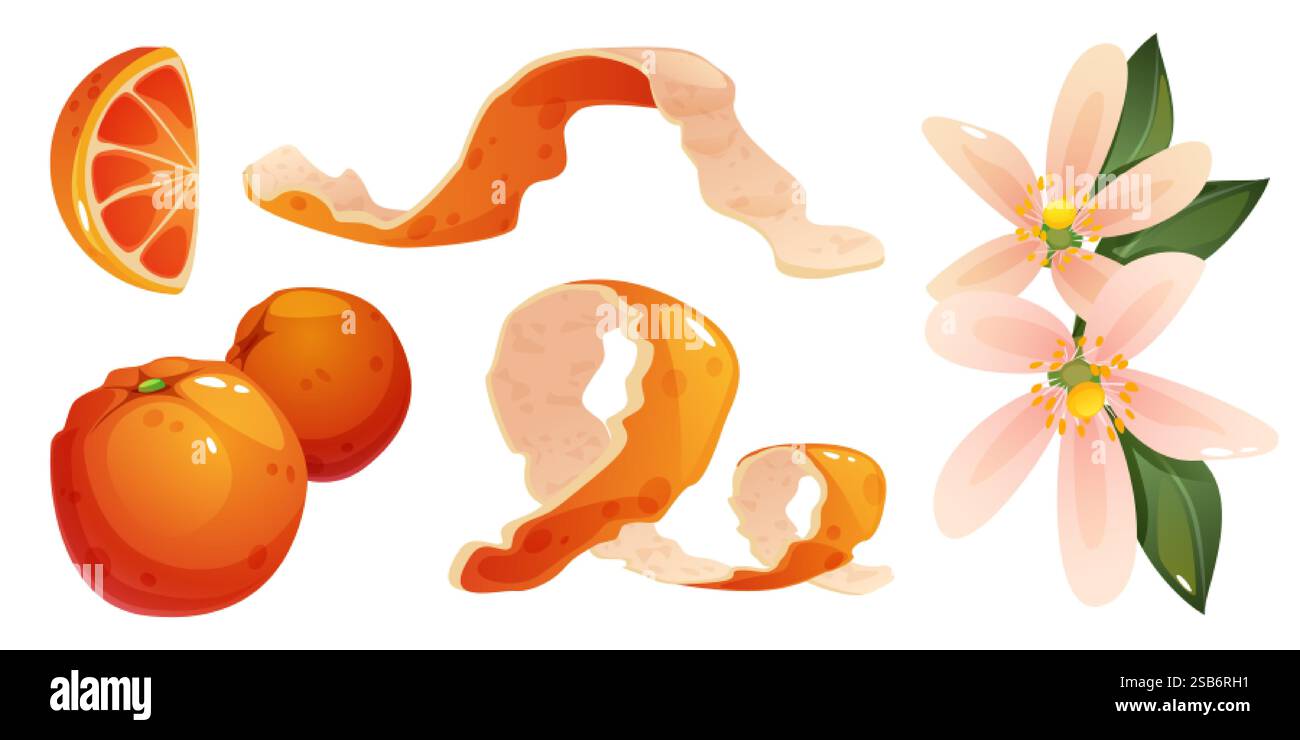 Orange fruit elements set with peeled spiral skin, citrus slice, whole ...