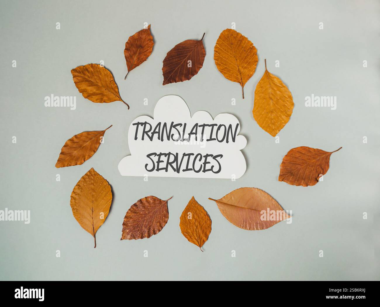 Translation services are displayed in a circle of leaves. The leaves ...
