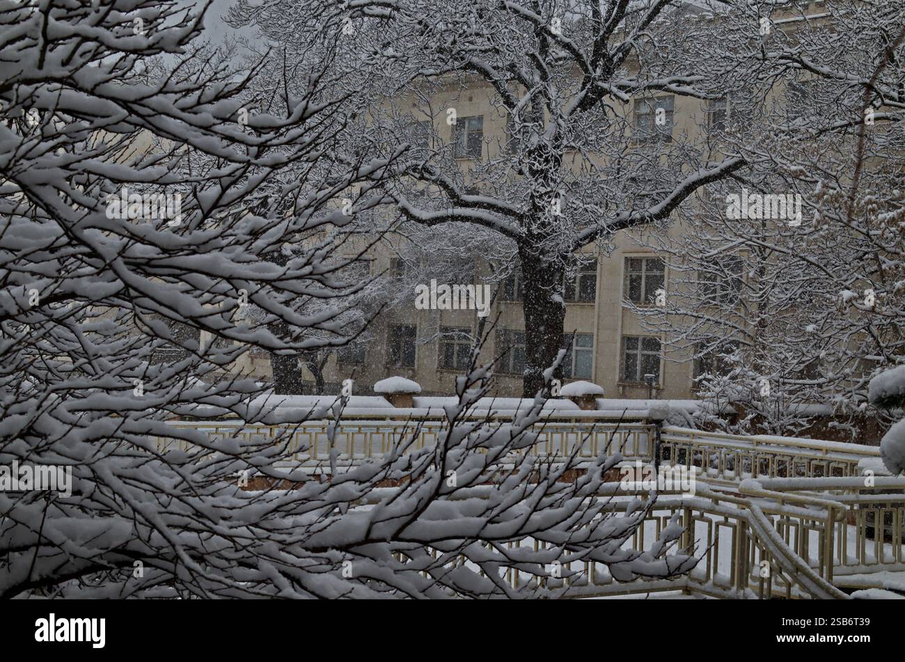 Beautiful moment of a storm with strong wind and heavy snowfall in a ...