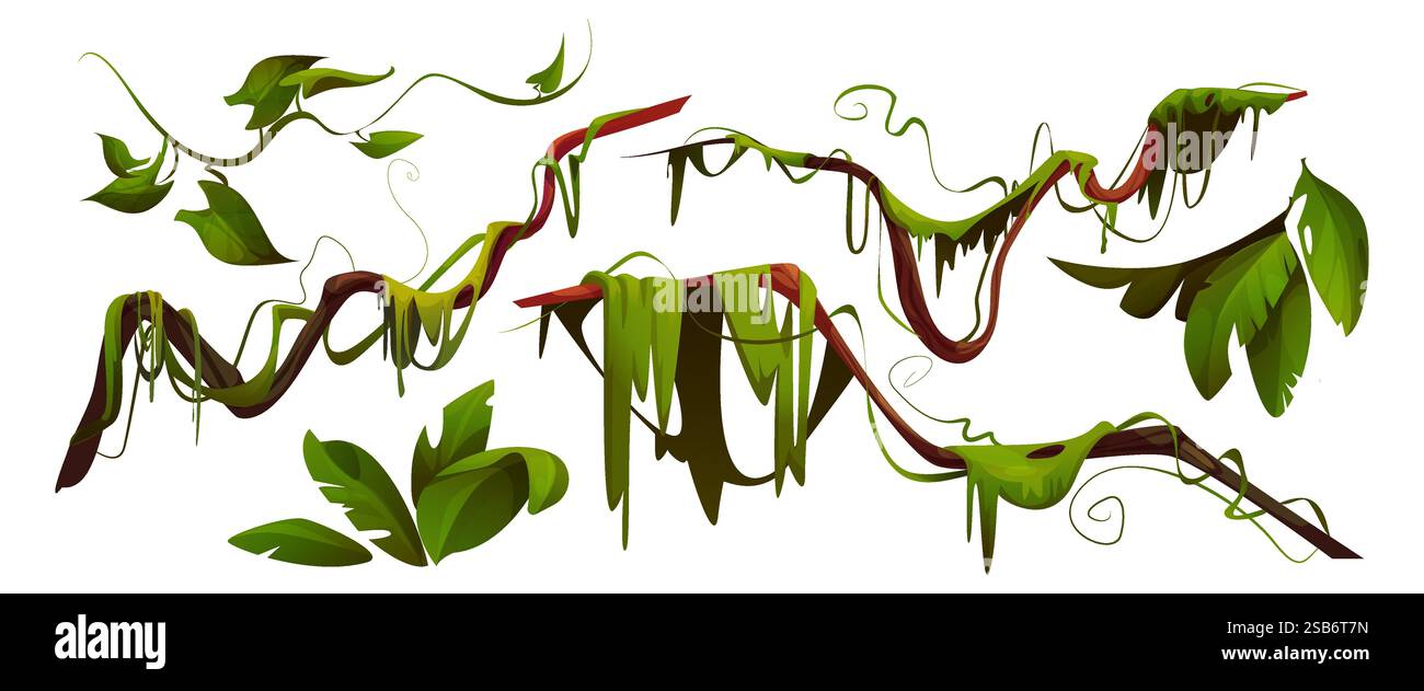 Jungle liana set with twisted green vines, hanging stems and tropical ...