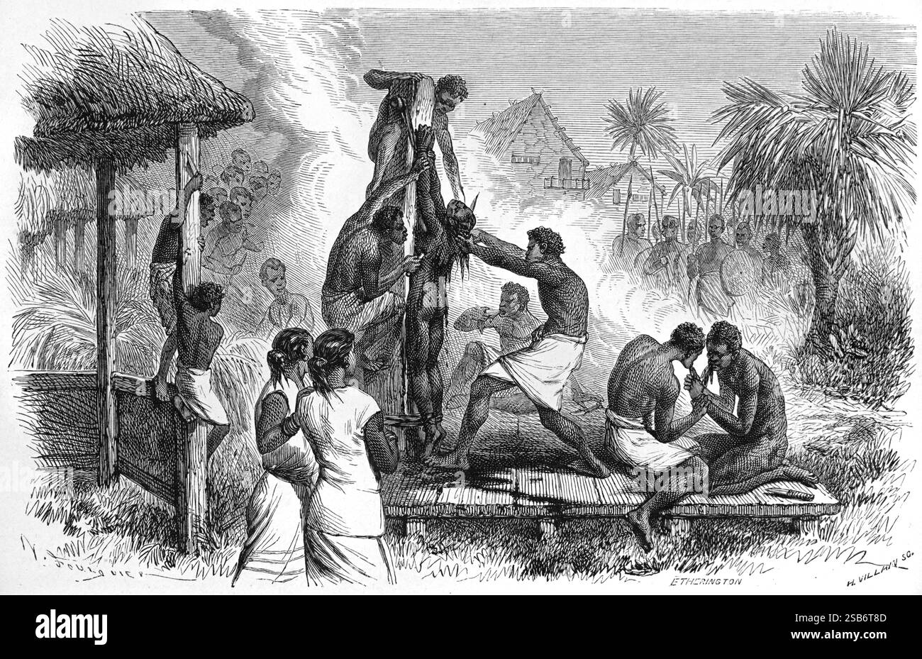 Ritual Cannibalism among the Batak Ethnic Group, aka Battas or Battaer ...