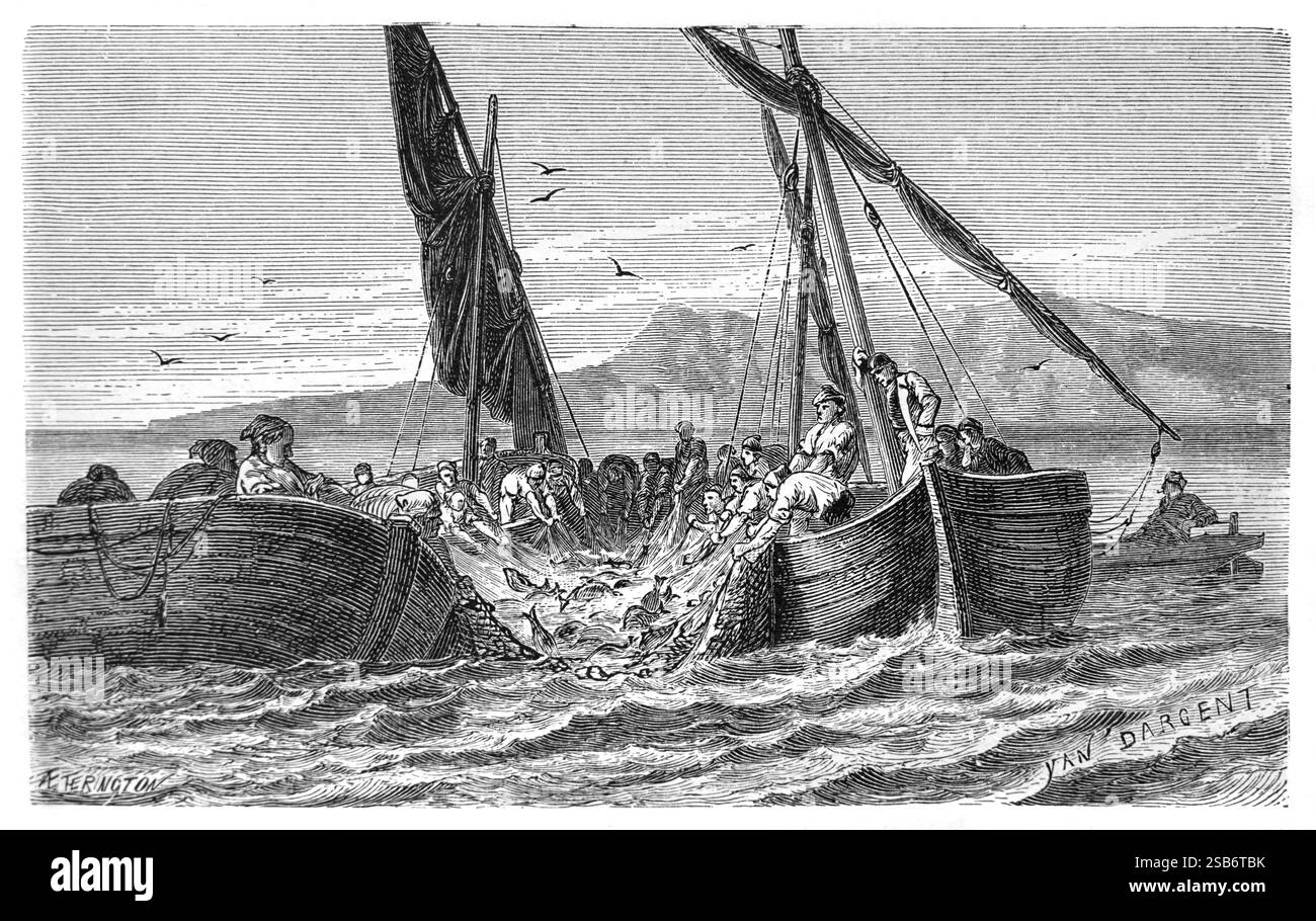 Traditional Fishing or Artisanal Fishing for Tuna Fish Using a Dragnet ...