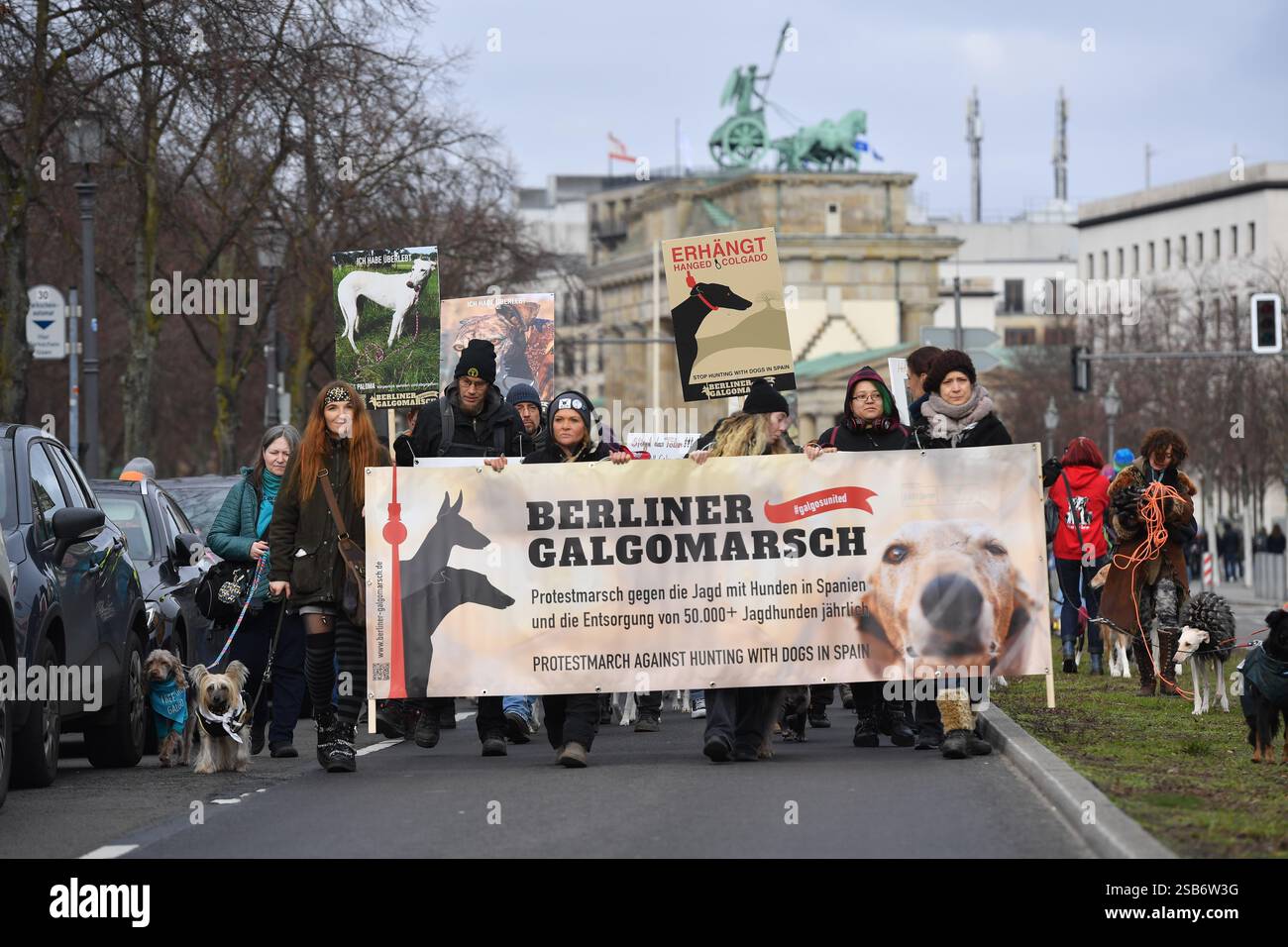 Berlin, Germany. 01st Feb, 2025. Several hundred dog owners take part ...
