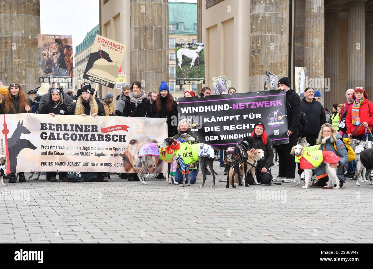 Berlin, Germany. 01st Feb, 2025. Several hundred dog owners take part ...