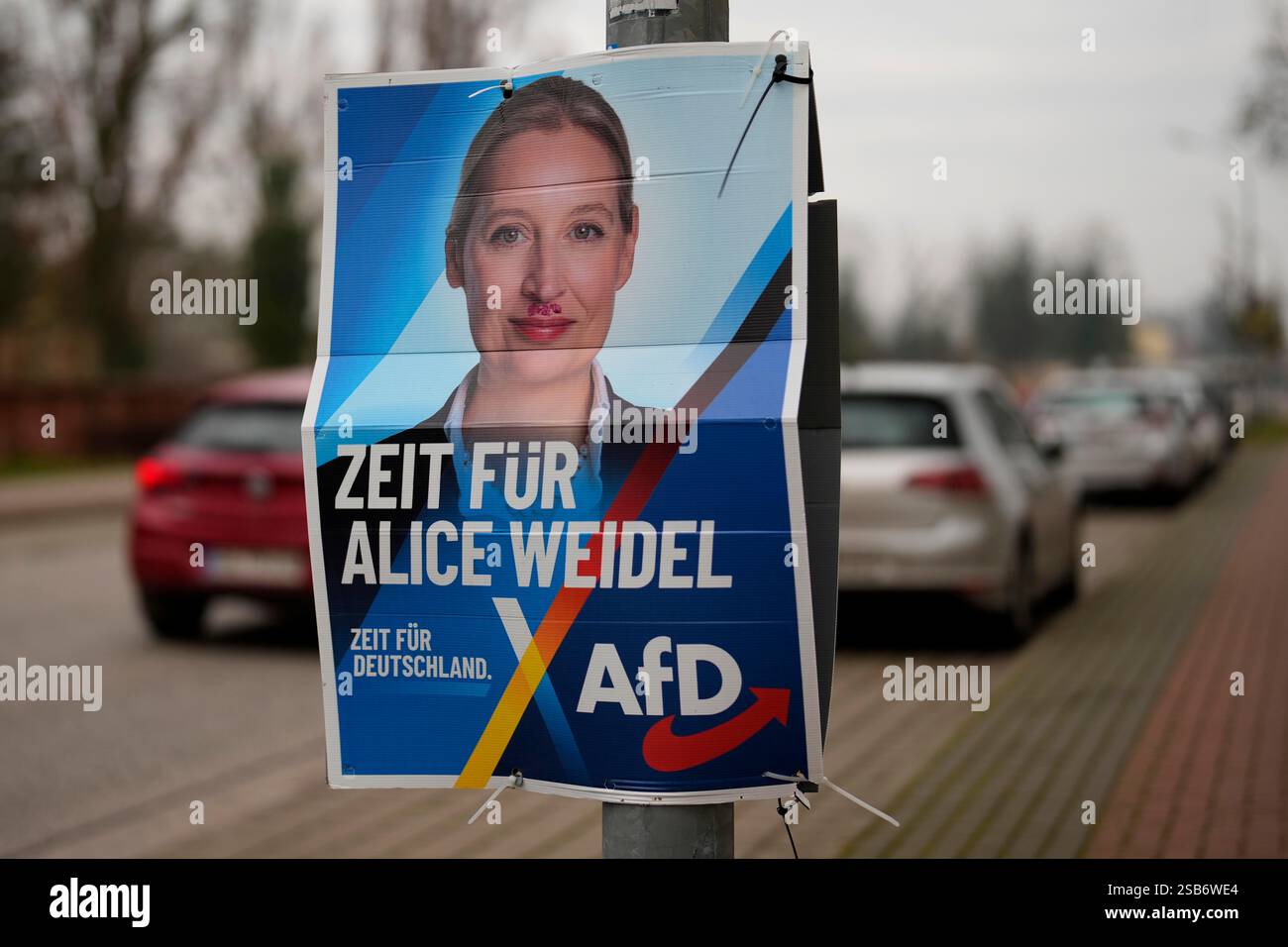 A damaged election poster shows AfD top candidate for Chancellor Alice ...