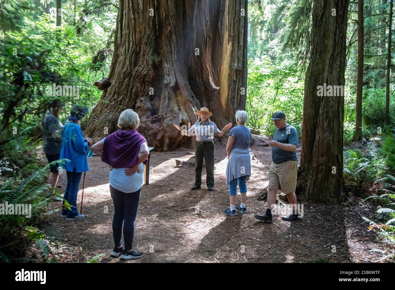Crescent City, California - A National Park Service ranger leads ...