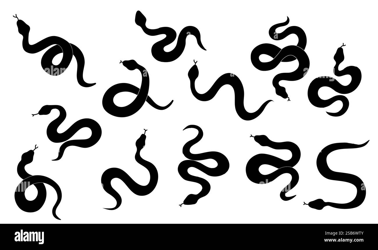 Exotic snakes Black and White Stock Photos & Images - Alamy