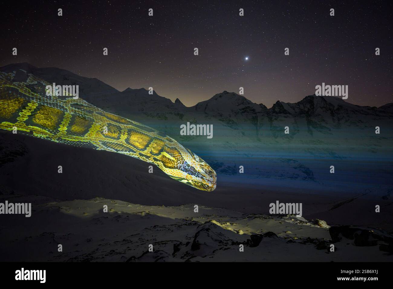 (250201) -- GENEVA, Feb. 1, 2025 (Xinhua) -- This photo taken on Jan ...