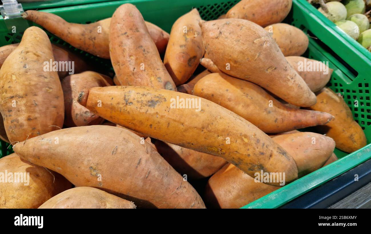 Sweet potato close-up in the store. Sweet potatoes in the grocery ...