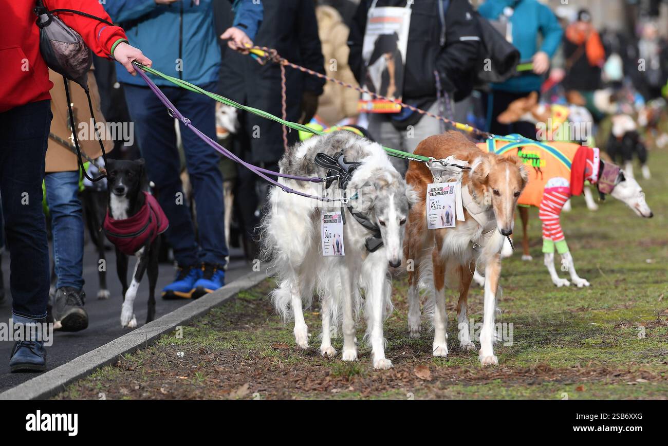 Berlin, Germany. 01st Feb, 2025. Several hundred dog owners and their ...