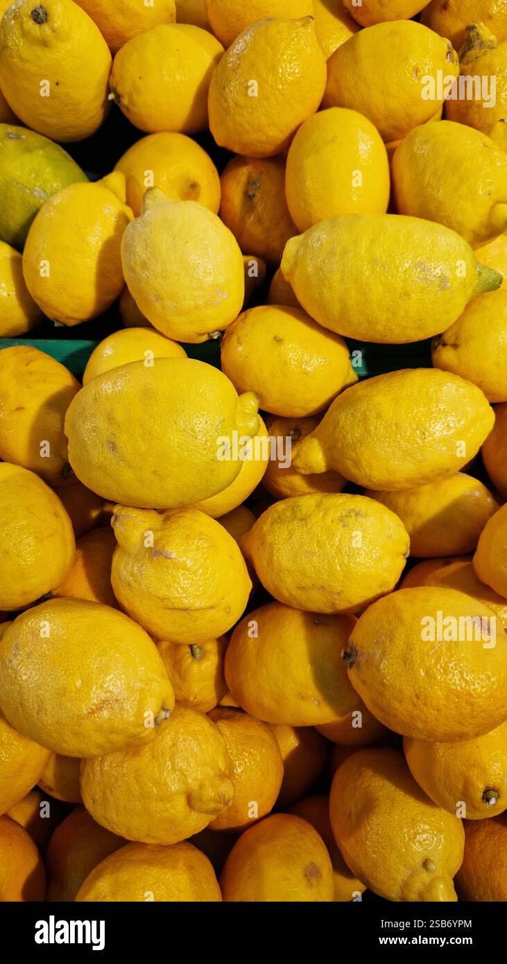 Sale of lemons in a supermarket. Citrus fruits in plastic boxes, close ...