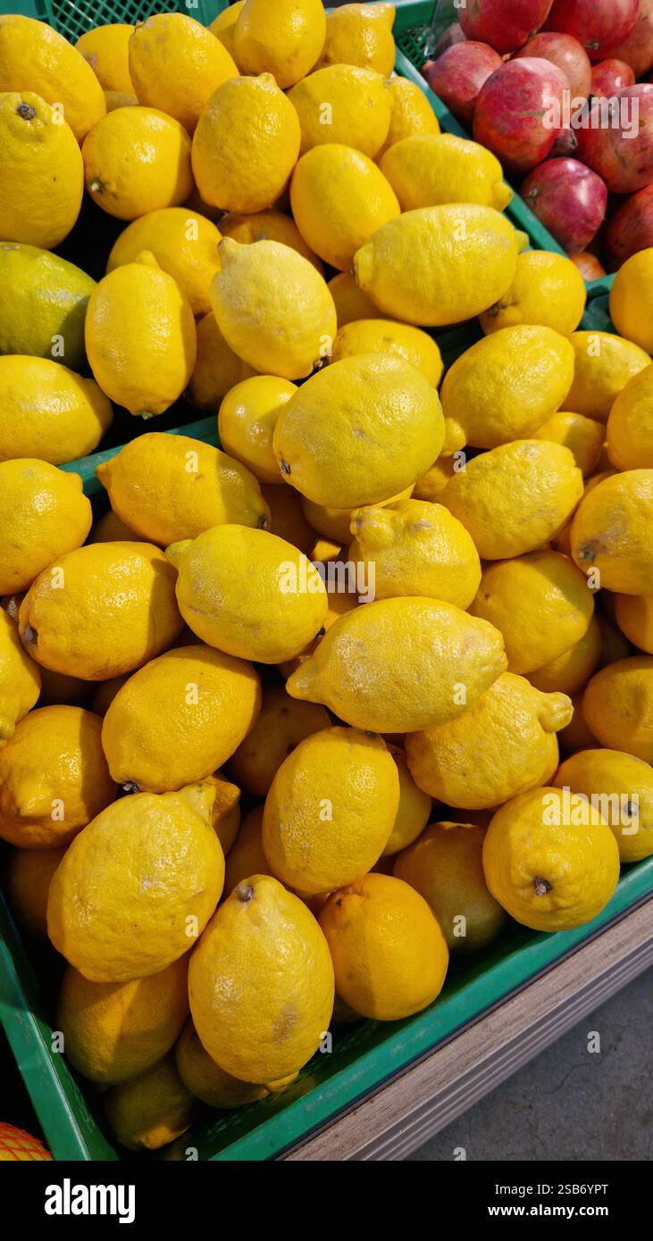 Sale of lemons in a supermarket. Citrus fruits in plastic boxes, close ...
