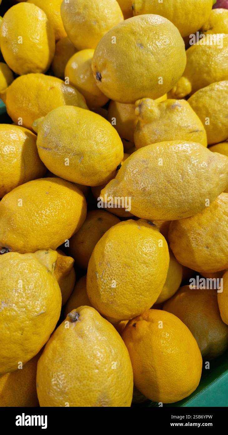 Sale of lemons in a supermarket. Citrus fruits in plastic boxes, close ...