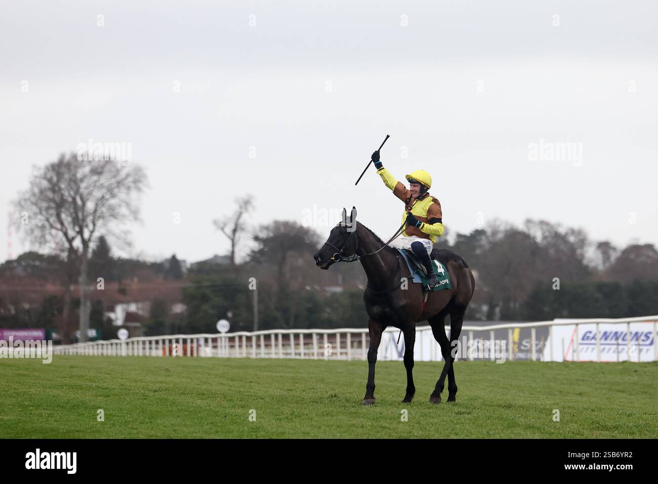 Paul Townend celebrates aboard Galopin Des Champs after winning the ...