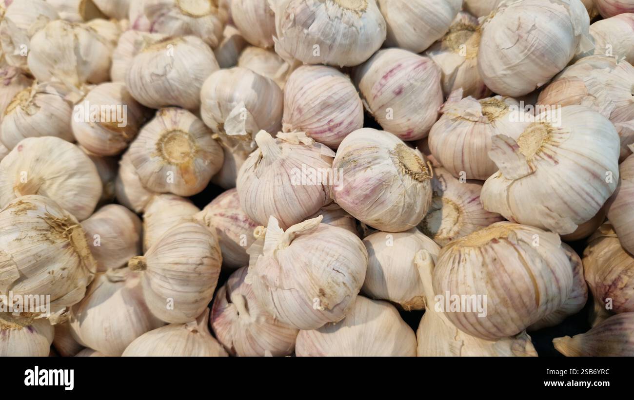 Garlic close up in supermarket. Lots of garlic in plastic green box on ...