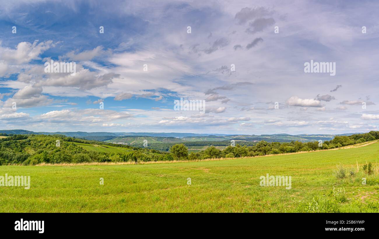 Landscape view at a green field in Germany Stock Photo - Alamy