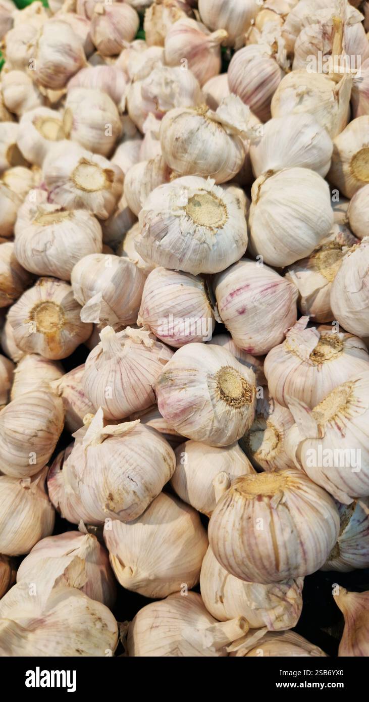 Garlic close up in supermarket. Lots of garlic in plastic green box on ...