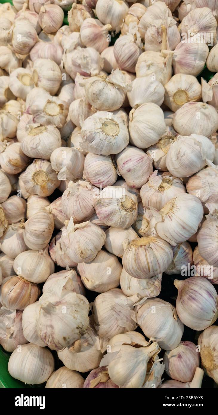 Garlic close up in supermarket. Lots of garlic in plastic green box on ...