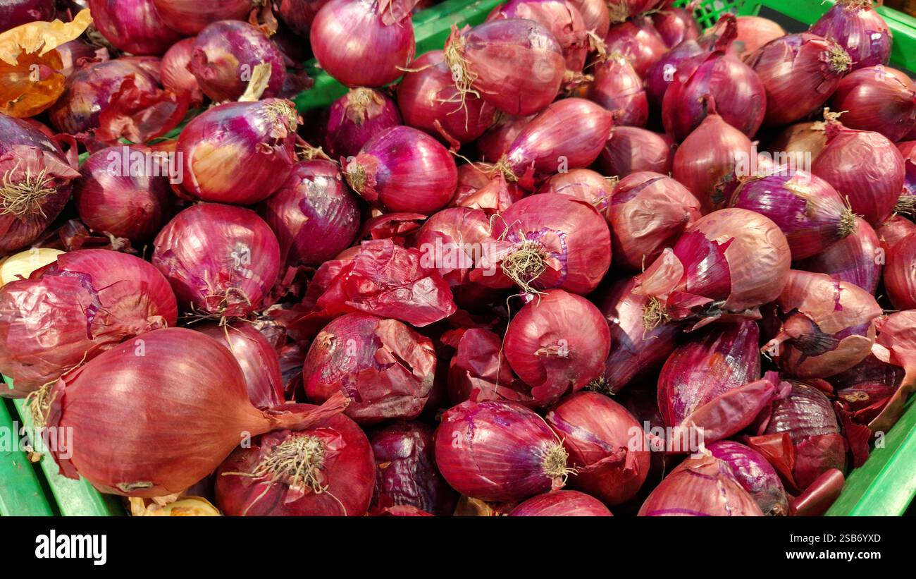Red onion close-up in supermarket. Lots of red onions in plastic green ...