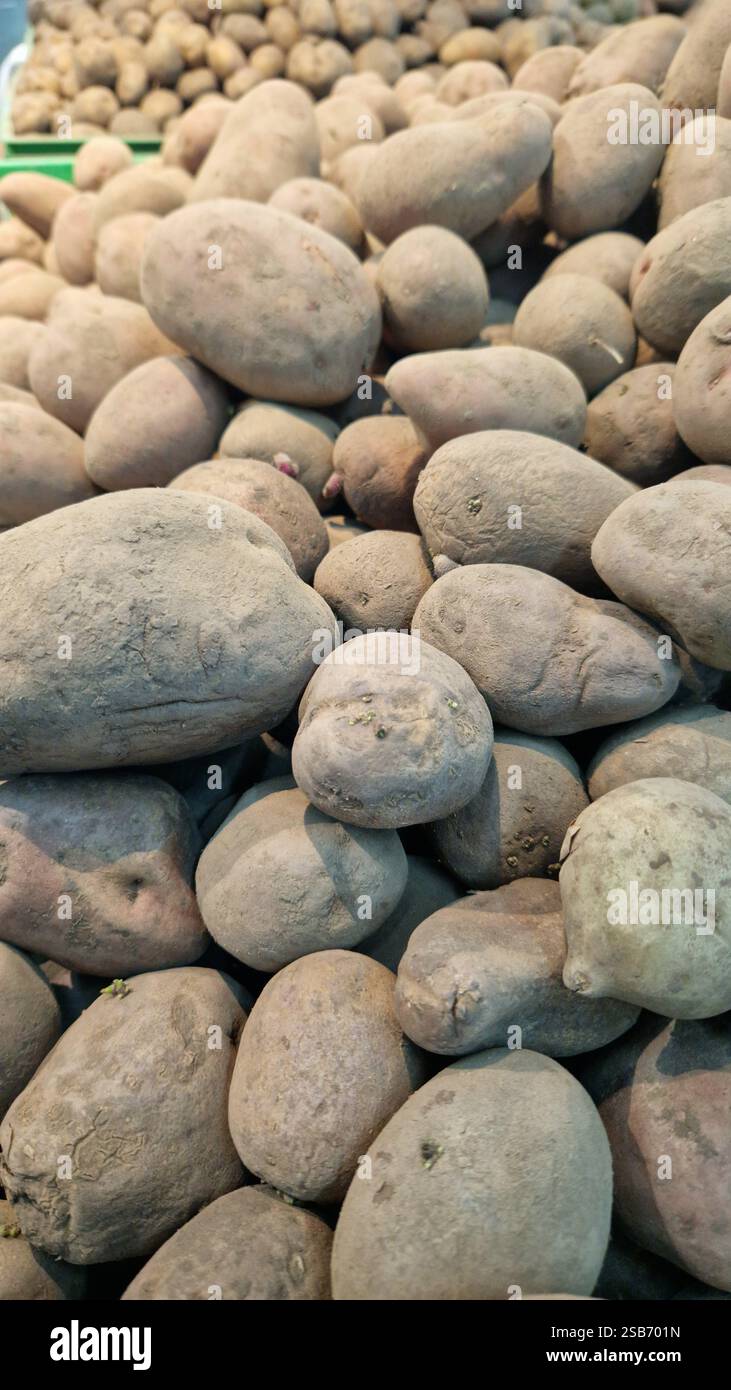 Selling potatoes. Close-up of potatoes at a market or store counter ...