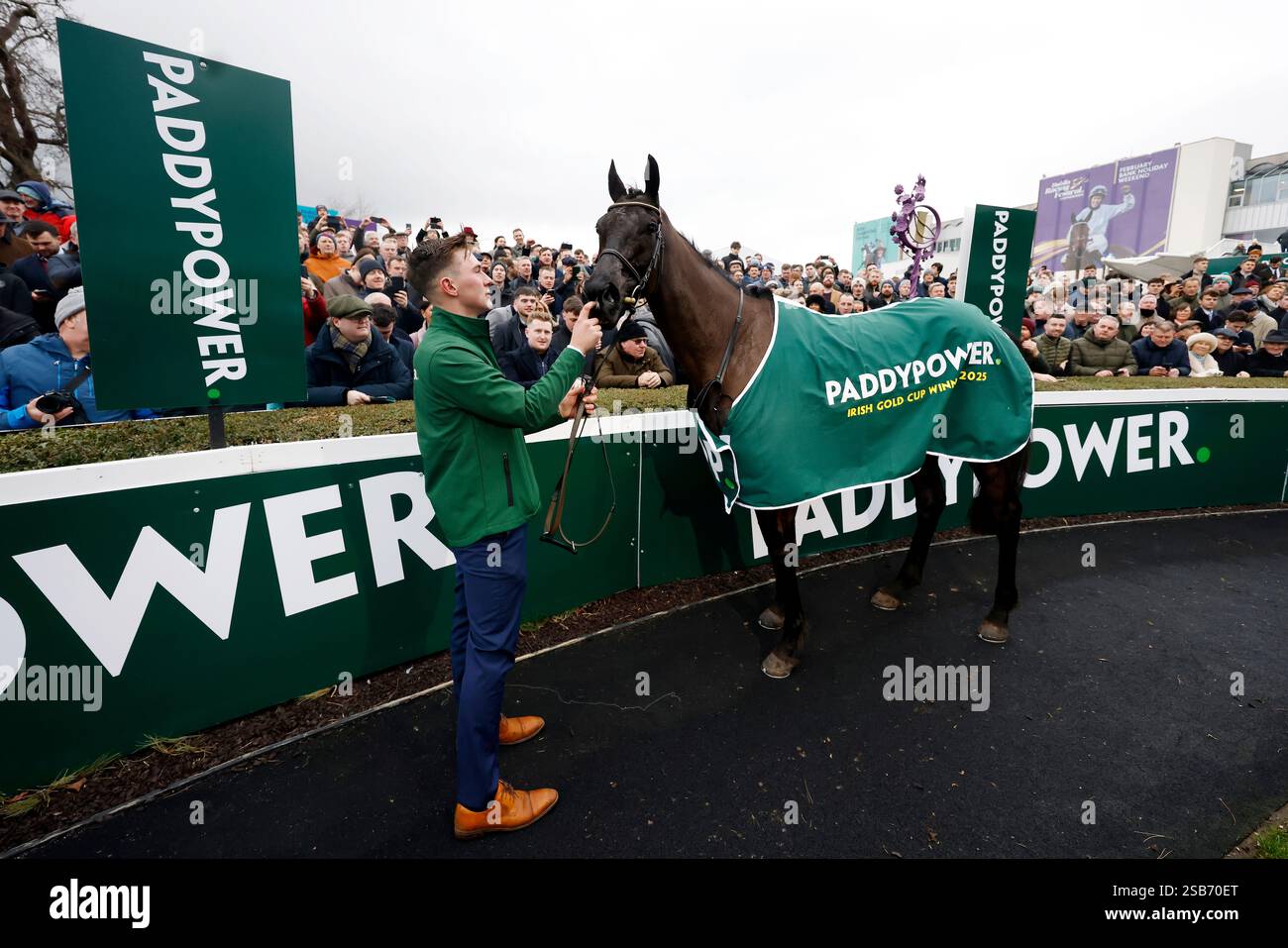 Galopin Des Champs after winning the Paddy Power Irish Gold Cup Chase ...