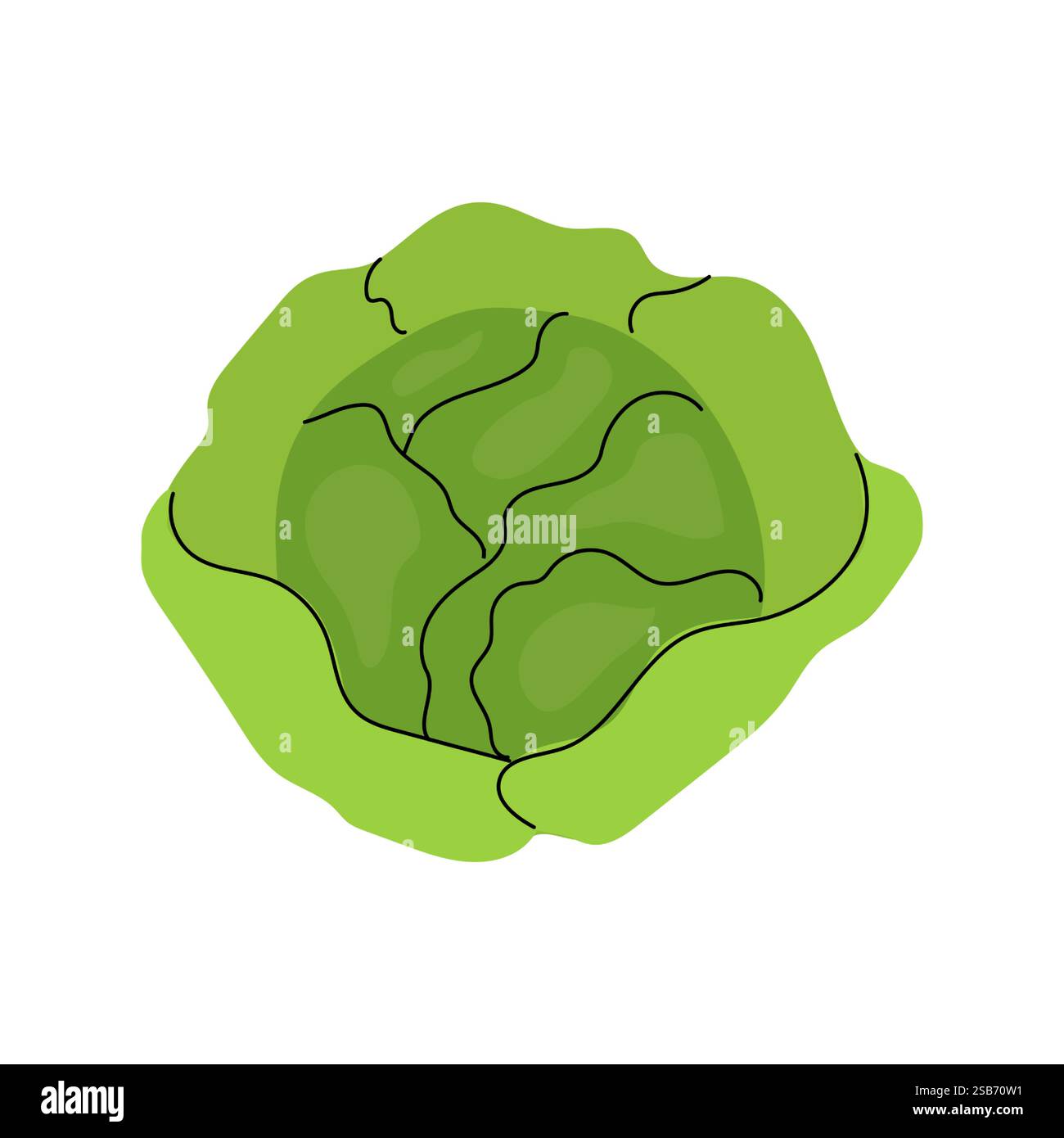 Intricate textures of green leaves Cut Out Stock Images & Pictures - Alamy