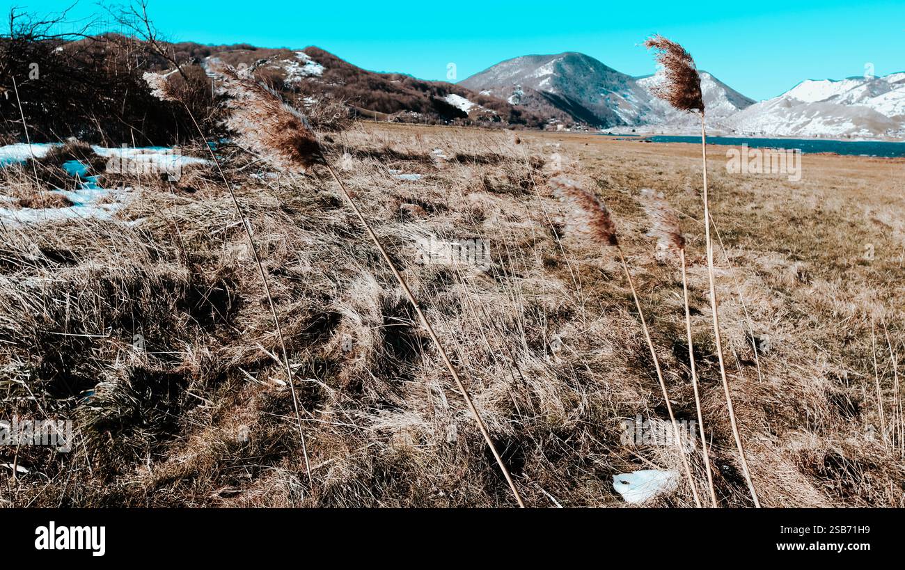 Ancient stone ruins with an arched doorway and crumbling walls ...
