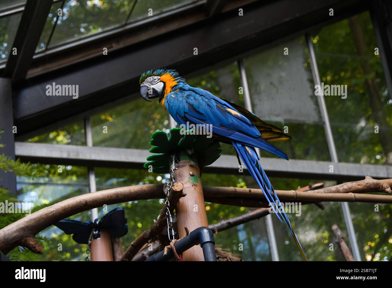 Animals at Toronto Zoo Stock Photo - Alamy