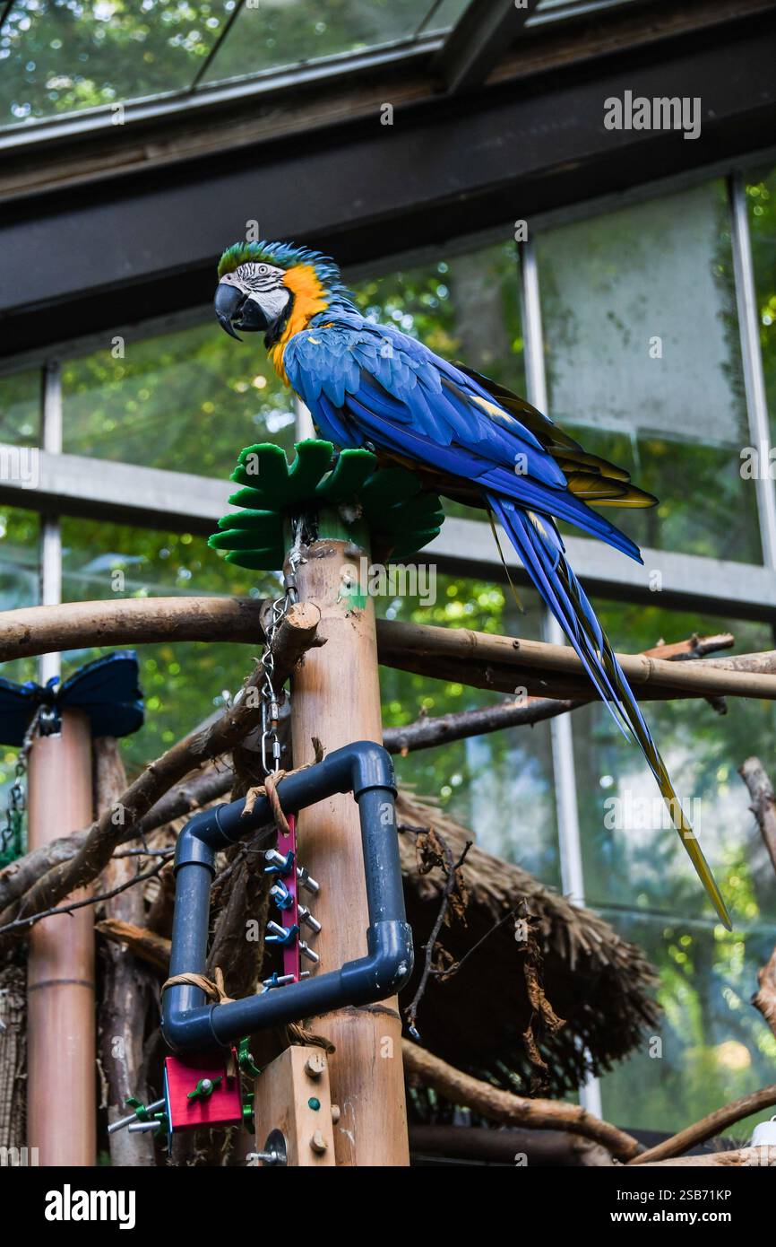 Animals at Toronto Zoo Stock Photo - Alamy