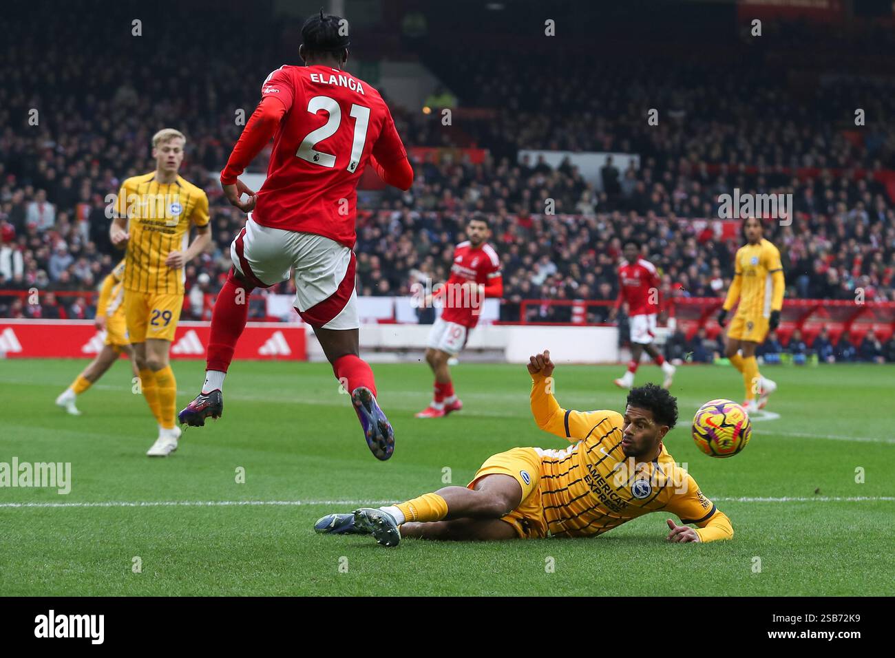 Nottingham, UK. 01st Feb, 2025. Georginio Rutter Of Brighton & Hove ...