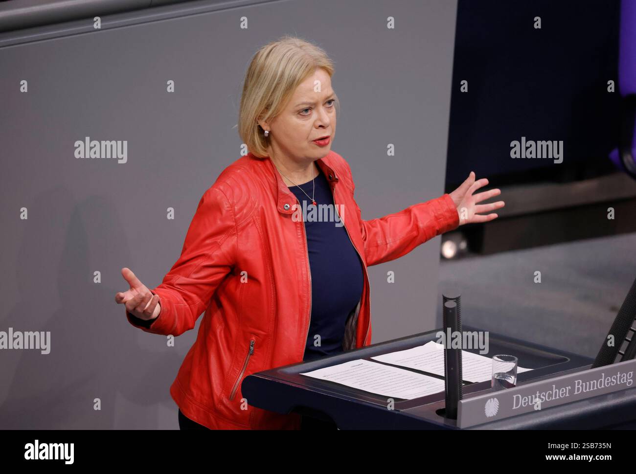 Dr. Gesine Lötzsch, Gruppe Die Linke, Deutschland, Berlin, Reichstag ...