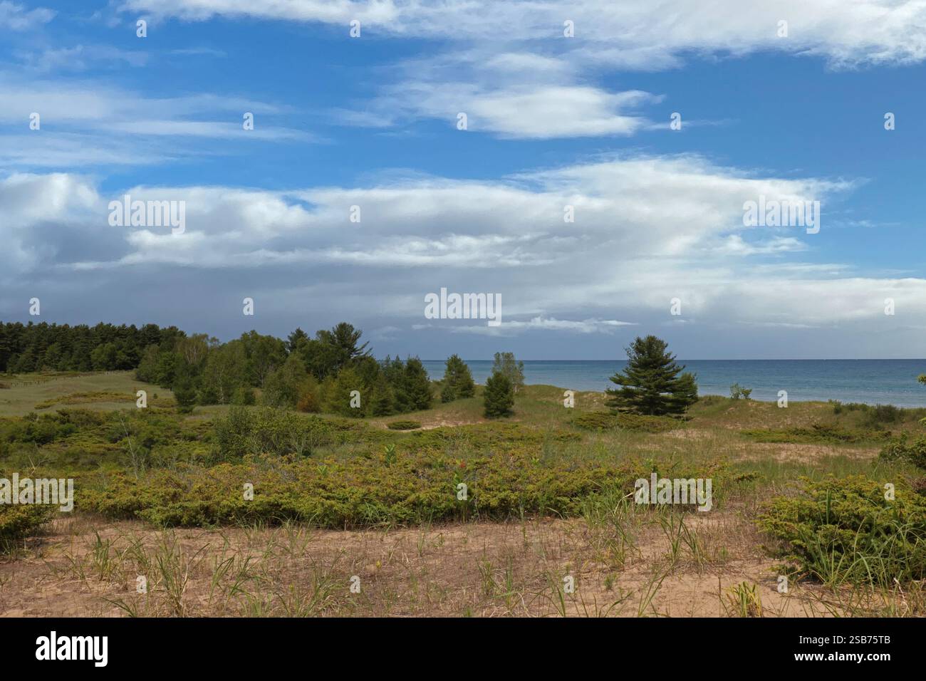 Sand dune hills, covered with grasses, shrubs and trees, with Lake ...