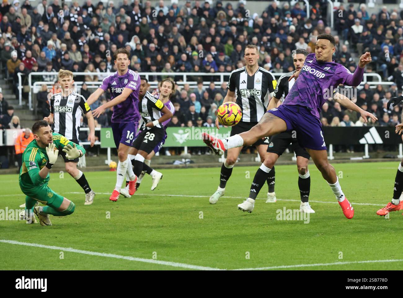 Newcastle Upon Tyne, UK. 1st Feb, 2025. Rodrigo Muniz (R) of Fulham ...