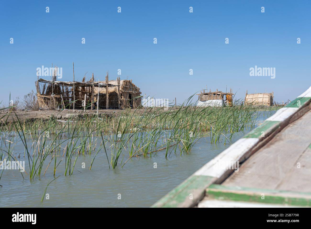 A boat trip in the marshlands of iraq near Chibayish, Chabaish ...