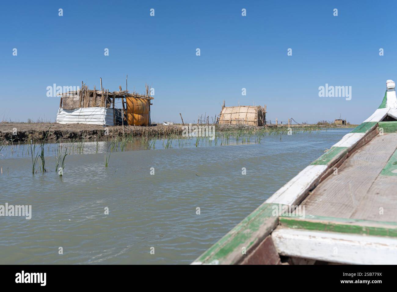 A boat trip in the marshlands of iraq near Chibayish, Chabaish ...
