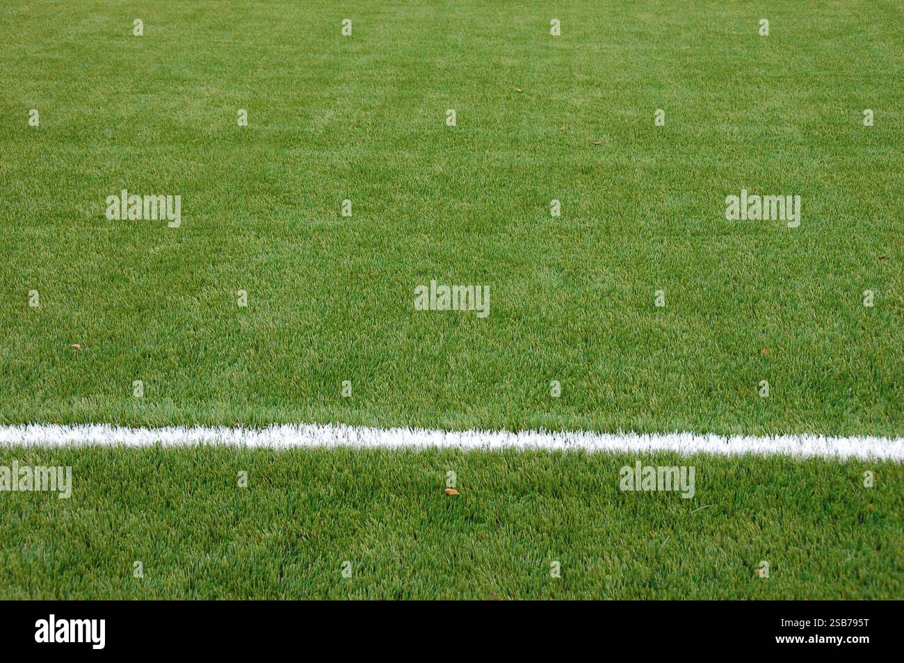 A white line on an artificial turf soccer field, showcasing the texture ...