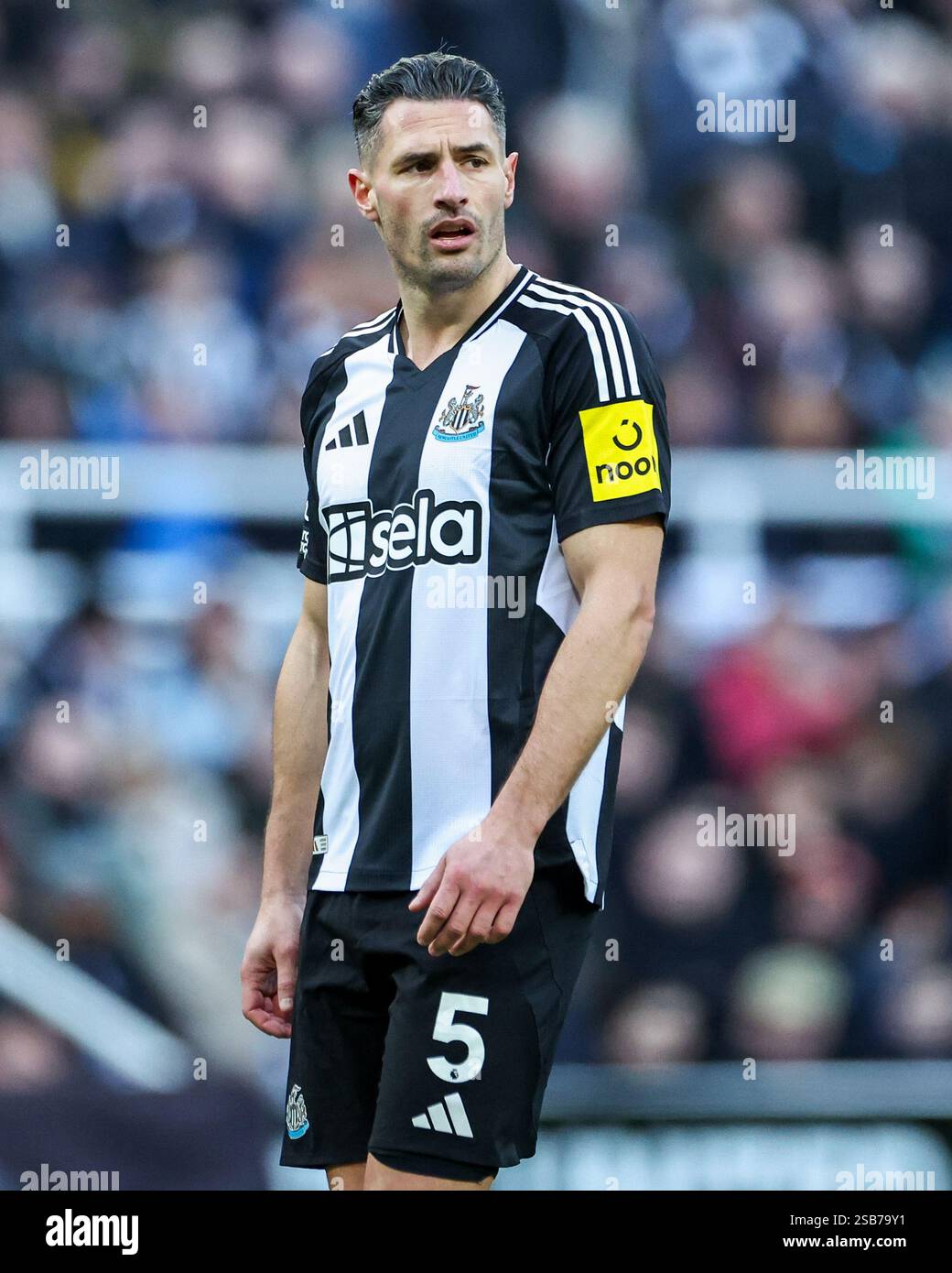 Fabian Schar of Newcastle United looks on during the Premier League ...
