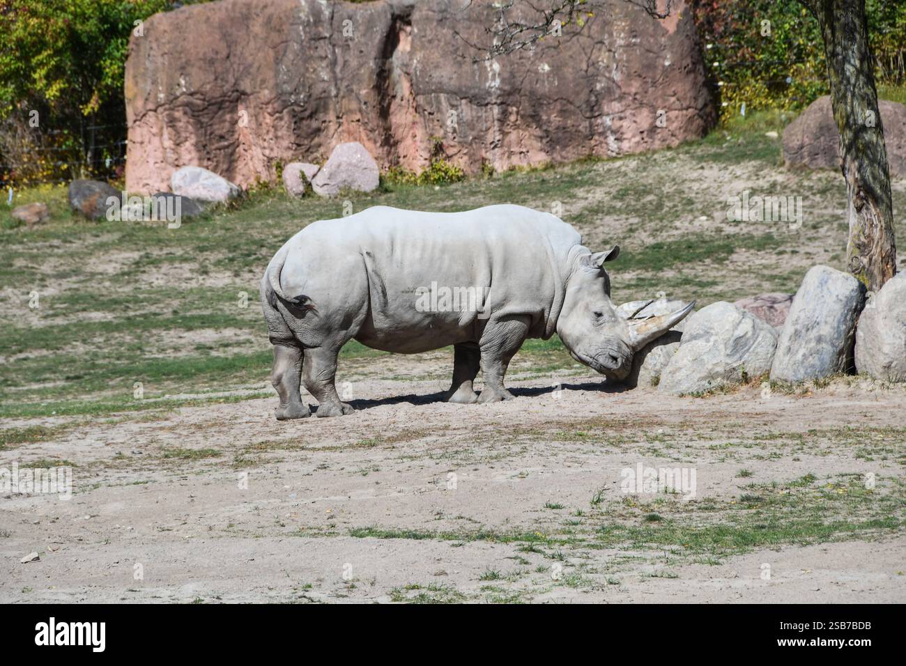 Animals at Toronto Zoo Stock Photo - Alamy